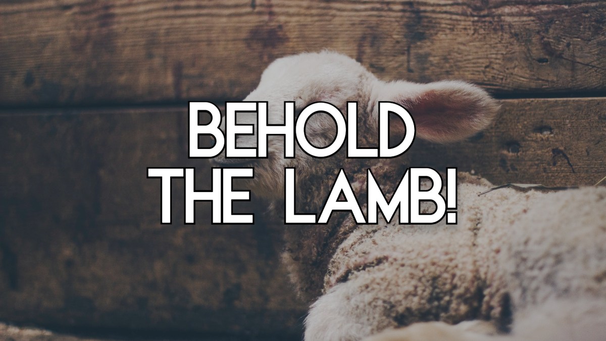 Behold the Lamb! – Watts in the Word